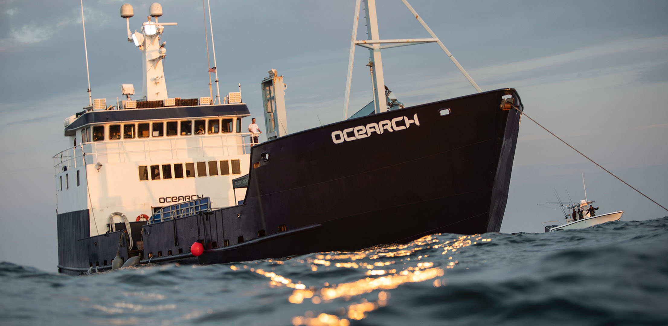 OCEARCH Expeditions | Shark Research & Conservation